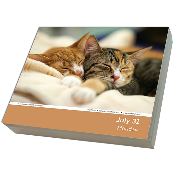 Cat Naps 2023 Daily Calendar - RSVP