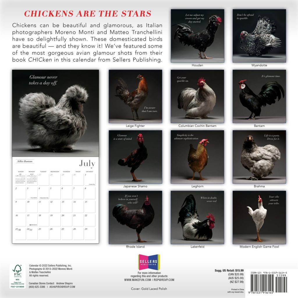 Glamour Chicks 2023 Wall Calendar - RSVP