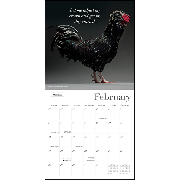 Glamour Chicks 2023 Wall Calendar - RSVP