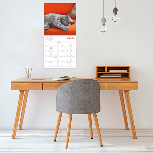 Cat Naps 2025 Wall Calendar - RSVP