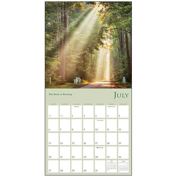 Enchanted Pathways 2025 Wall Calendar - RSVP