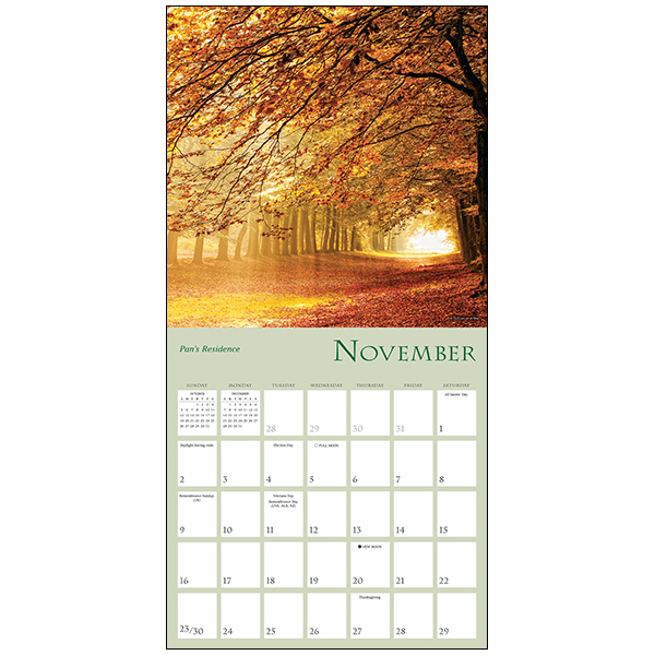 Enchanted Pathways 2025 Wall Calendar - RSVP