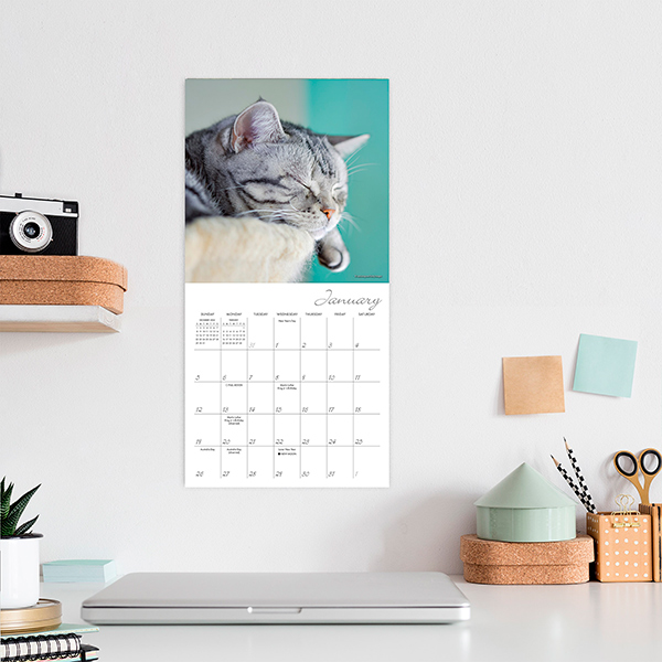 Cat Naps 2025 Mini Calendar - RSVP